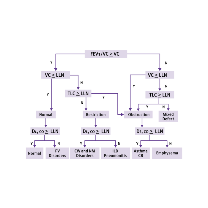 Dlco Risk Factors For Impaired Pulmonary Diffusion Function In ...